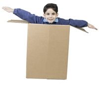 Children and Creativity: The Joy of the Box - COGWA Members